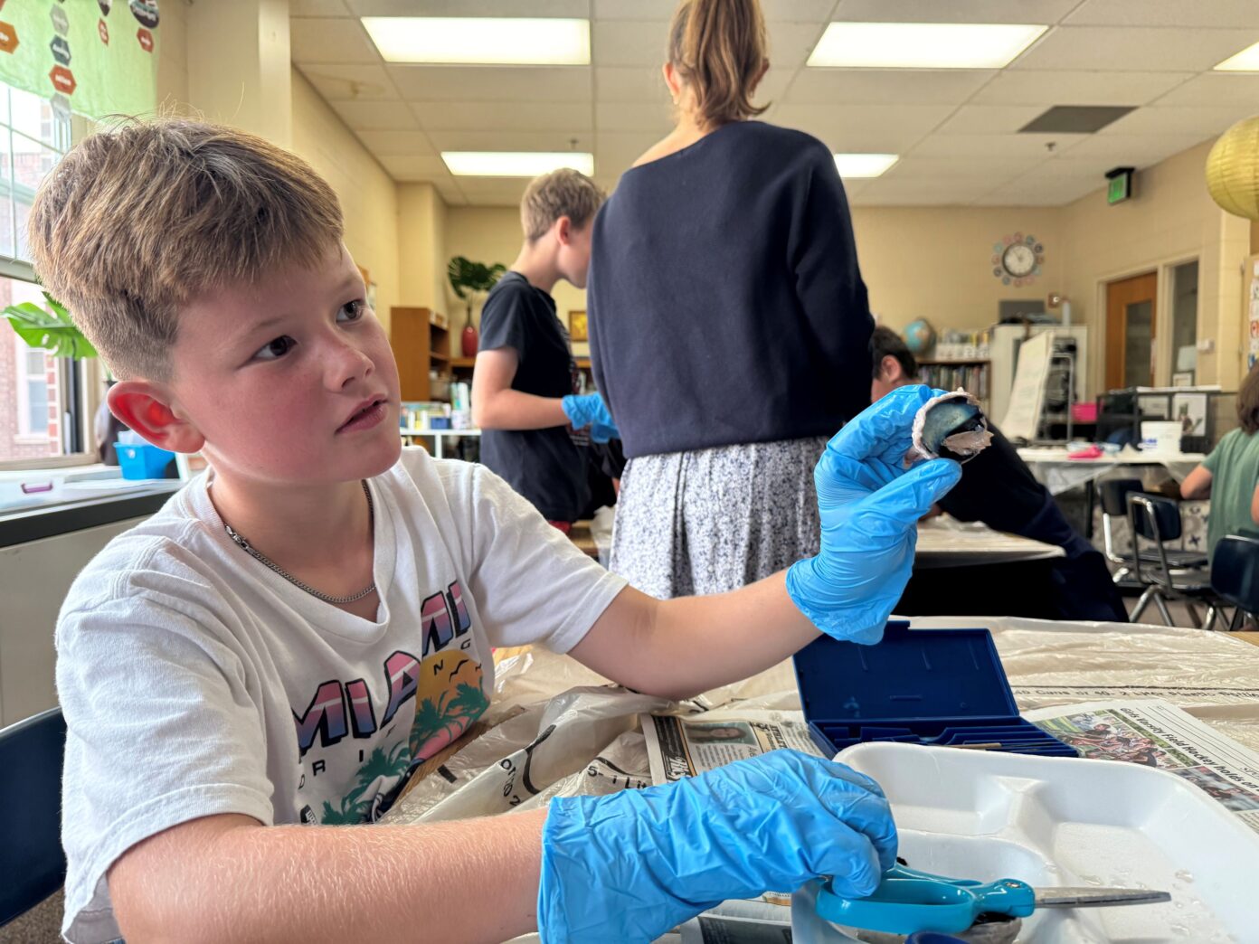 Fourth-graders learn from eye dissection - School News Network | A ...